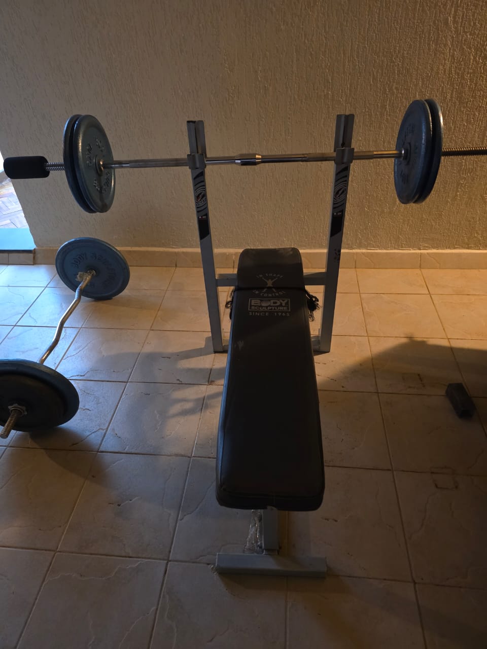 Body Sculpture Weight Plate Set 100KG | Corido Marketplace